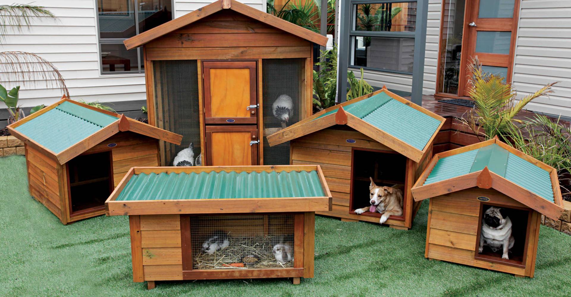Pet Houses - Aarons Outdoor - Step Outside