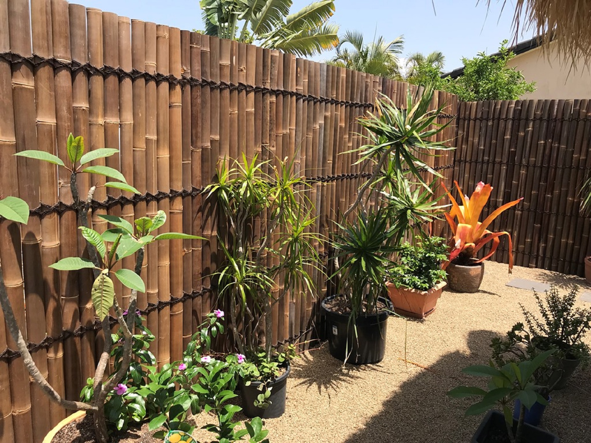 Back Yard Bamboo Fencing Backyard X Scapes Bamboo Fence Panel, Natural