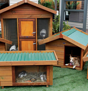 Pet Houses Archives - Aarons Outdoor - Step Outside